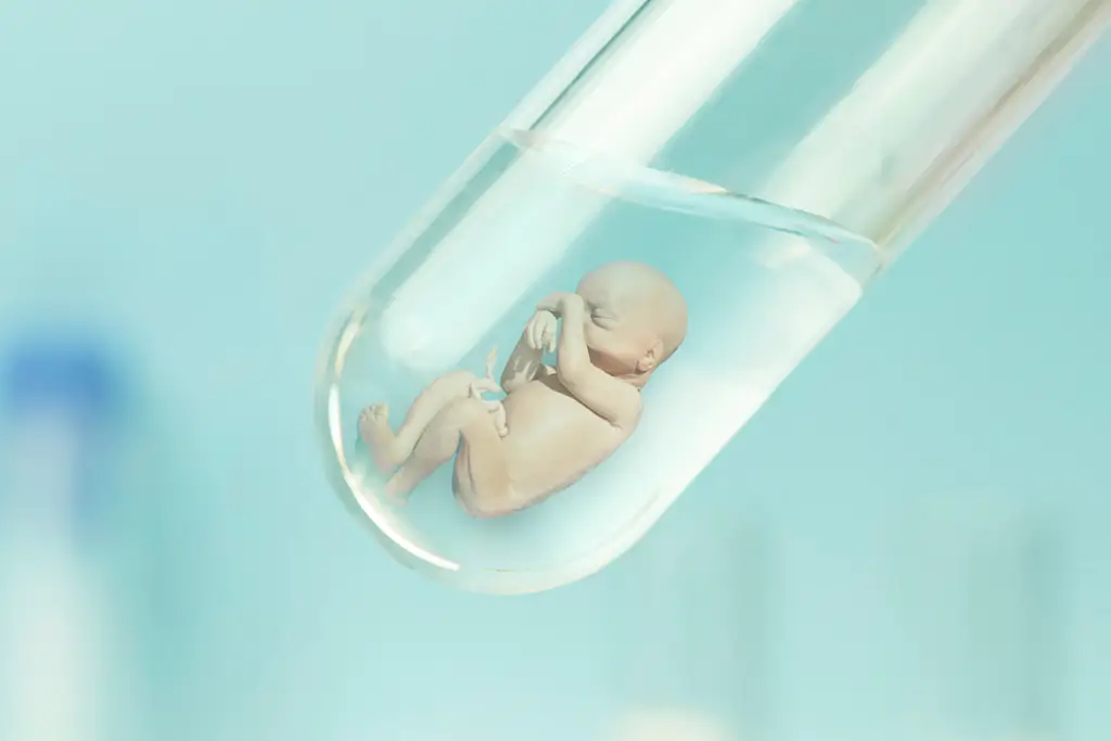 Proses Bayi Tabung: Langkah, Risiko, dan Manfaat